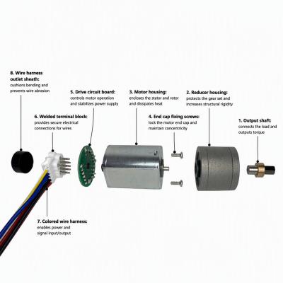 China 12V 20mm micro gear motor providing 1.5kgcm torque suitable for compact robotics automation and precise engineering tasks for sale