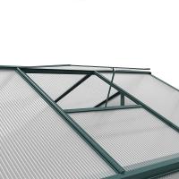 China 10x6 ft Transparent Garden Greenhouse Polycarbonate with 2 Vents Shed Type Transparent for sale