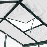 China 10x6 ft Transparent Garden Greenhouse Polycarbonate with 2 Vents Shed Type Transparent for sale