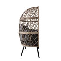 China 15kg Metal AJUNION Egg Chair for Hanging and Relaxing in Your Outdoor Living Space for sale