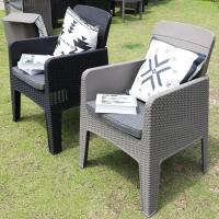 China Plastic Cane Stackable Arm Chair for Outdoor Restaurant Cafe in Villa Patio Garden for sale