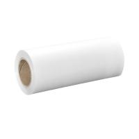 China 13-inch & 24-inch DTF PET Film Sheets for Hot Peel Transfer - A3 30cm/33cm Size for Cotton, Polyester Fabrics for sale