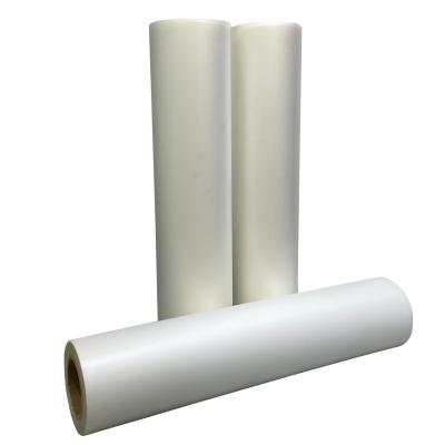 China DTF Film Sheets 13x19 Clothing Transfer - 33CM 42CM 60CM Double Side Matte Hot Peel PET Film for DTF Printing for sale