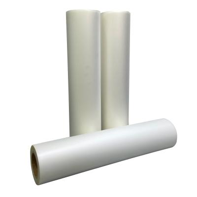 China DTF Glitter Film Roll 30cm x 100m for Heat Transfer - Low Temperature PET Film with Gloss/Matte Finish for sale