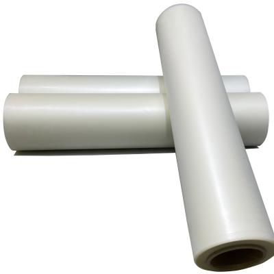 China PET DTF Heat Transfer Film for Textile Printing - 33cm 42cm 60cm Double Side Matte Hot Peel Rolls for sale