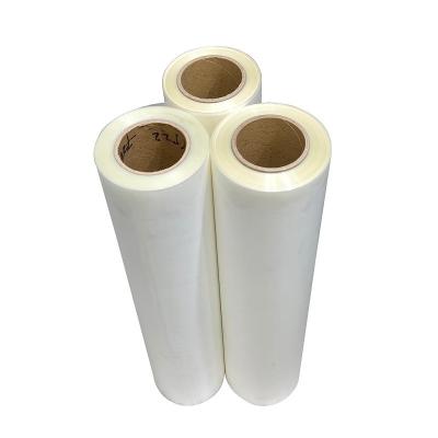 China Hot Peel DTF PET Film 33cm 42cm 60cm for Epson XP600 I3200 4720 Textile Transfer for sale