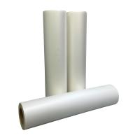 China ANDEMES DTF Transfer Film 60cm Roll - Direct to Film Heat Transfer Paper for Textile Printing for sale