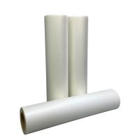 China White PET Matte DTF Film 30cm 60cm Double-Sided for Clothing Printing with High Color Density for sale