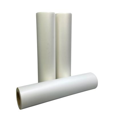China White PET Matte DTF Film 30cm 60cm Double-Sided for Clothing Printing with High Color Density for sale