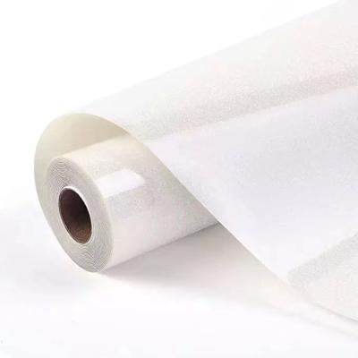 China DTF PET Film 30cm x 11.8 Inch Digital Inkjet Transfer Film for Cold/Hot Printing on Clothing and Vinyl for sale