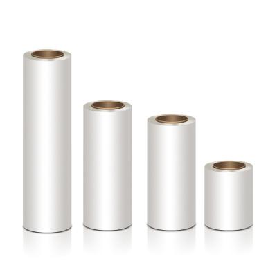China Glitter DTF Film Sheets 24 Inch - Digital Inkjet Cold Peeling Heat Transfer Vinyl for Professional Printing for sale