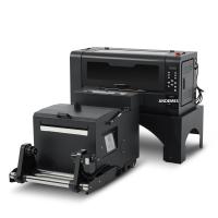 China ANDEMES 33cm 13inch Roll to Roll DTF Printer with XP600 Head for Tshirt Direct to Film Printing for sale