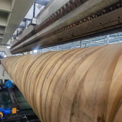 China Sj120/33 Geo Membrane Film Extrusion Line With Customized Options And CE Certification for sale
