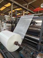 China Radiation Cross-Linked PE Heat Shrink Sleeve Production Line for anti-corrosion pipeline Joints for sale