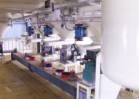China Decorative Gypsum Board Production Line for sale