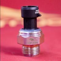 China VG1560080276+001 L203PBA Sinotruk WD615.47/69 Euro II engine Fuel injector nozzle for sale