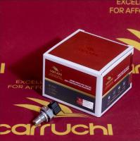 China VG1560080276+001 L203PBA Sinotruk WD615.47/69 Euro II engine Fuel injector nozzle for sale