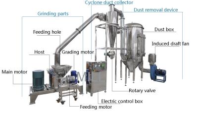 China Fine Powder Grinding Machine Dry Fish Powder Feed Field Installation for sale