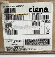 China CIENA 3924 CARRIER-GRADE SERVICE DELIVERY SWITCH 170-3924-907-023 for sale