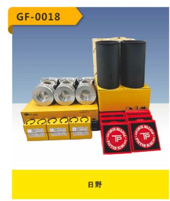 China HINO RIYE TP JPN GF-0018 ENGINE PARTS LINER KIT SERIES for sale