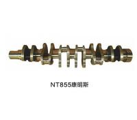 China EXCAVATOR ENGINE CRANKSHAFT SERIES FOR NT855 CUMMIN S for sale