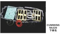 China EXCAVATOR ENGINE OVERHAUL KIT FOR CUMMIN S Nh220 for sale