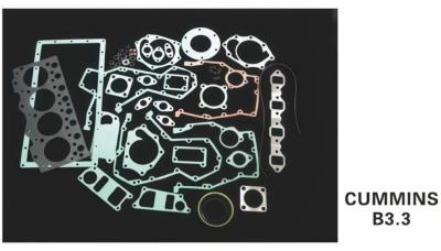 China EXCAVATOR ENGINE OVERHAUL KIT FOR CUMMIN S B3.3 for sale