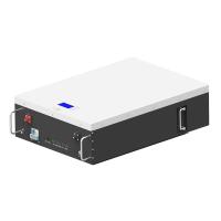 China 51.2V LiFePO4 Wall-Fixed 100Ah Home Solar Energy Storage Battery with 6000 Cycle Life for sale