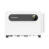 China Growatt Solar Power System MAX 120 KTL3-X LV Topology Transformerless and Lightweight for sale