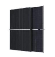 China Trina TSM-NEG19RC.20 585W-610W Dual Glass Photovoltaic Module for Solar Power System for sale