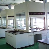 China downflow One Piece 62dB Laboratory Fume Hood coated color steel for sale
