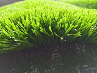 China PP+PE Garden Lawn Artificial Grass Cover Weather Stability Artificial Grass Mat for sale