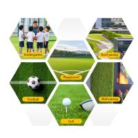 China Landscaping Synthetic Artificial Grass 20mm Rainbow Sports Flooring Turf for sale