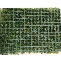 China Simulation plant artificial grass Garden Home Landscape decor Plastic Artificial Plants Outdoor Green Wall for sale