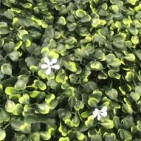 China Wholesale Green Plant Wall Artificial Lawn Boxwood Hedge Garden Backyard Home Backdrop Decor Milan Grass Flower Plant Wall for sale