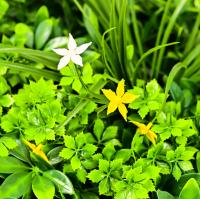 China Wholesale Cheap Price Decorative Green Artificial Plant Wall Green Plant Backdrop For Party Decor for sale