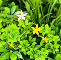 China Wholesale High Quality Artificial Wall Plants Lifelike Uv Artificial Plant Wall for sale