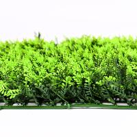 China China Factory Good Quality Outdoor Artificial Tropical Plant Wall Panel Boxwood Panels Hedge Artificial Plant Grass Vine Wall for sale