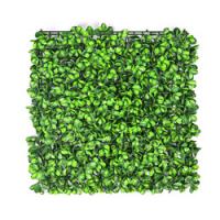 China China Factory Good Quality Outdoor Artificial Tropical Plant Wall Panel Boxwood Panels Hedge Artificial Plant Grass Vine Wall for sale