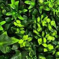 China Wholesale Price Custom Outdoor Panels Grass Fence Grass Wall Plant Artificial Hedge Boxwood Panels 7 Pieces for sale