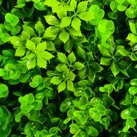 China Wholesale Price Custom Beautiful Artificial Grass Wall Panels Uv Artificial Plant Wall Moss for sale