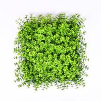 China Wholesale Price Custom Beautiful Artificial Grass Wall Panels Uv Artificial Plant Wall Moss for sale