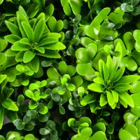 China China Manufacturer Direct Wholesale Artificial Green Grass Plant Wall Panel Outdoor Artificial Plants For Wall for sale