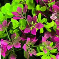 China Direct Wholesale Good Quality Plant Artificial Wreath For Indoor Home Wall Decor Plant Wall Lawn Artificial Flower for sale