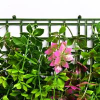 China Cheap And High Quality Plant Wall Plant Hanging Green Grass Wall Vertical Artificial Plants Wall for sale
