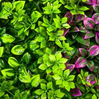 China Hot Sale China Manufacture Quality Artificial Green Moss Pflanzenwand Plant Wall Artificial Moss Plant Wall for sale