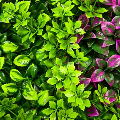 China Hot Sale China Manufacture Quality Artificial Green Moss Pflanzenwand Plant Wall Artificial Moss Plant Wall for sale