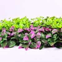 China Hot Sale China Manufacture Quality Artificial Green Moss Pflanzenwand Plant Wall Artificial Moss Plant Wall for sale