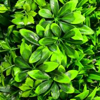 China Wholesale Price Custom Flexible And Wear-Resistant Artificial Green Plant And Grass Flower Wall for sale