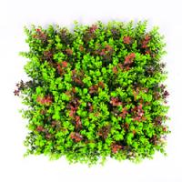China Wholesale Price Custom Flexible And Wear-Resistant Artificial Green Plant And Grass Flower Wall for sale